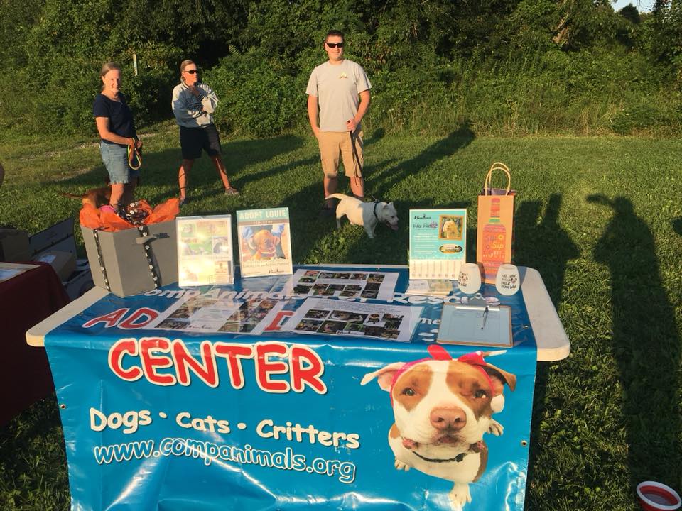Photo album: TLC’s Dog Days of Summer